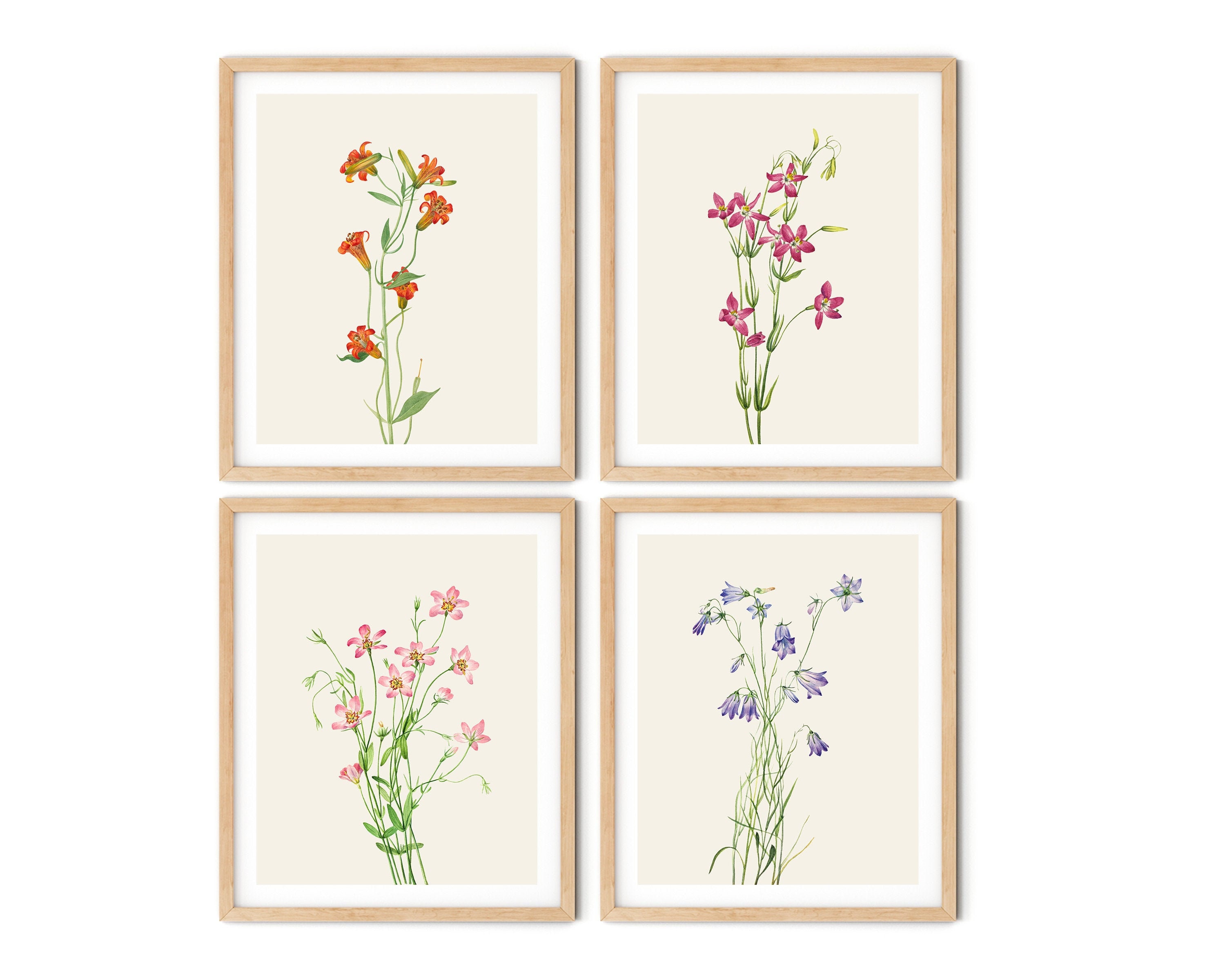 Wildflowers Print Set of 4 Wildflower Wall Art Botanical - Etsy