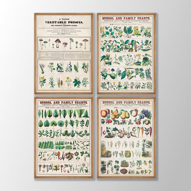 Vegetable Poster - Etsy