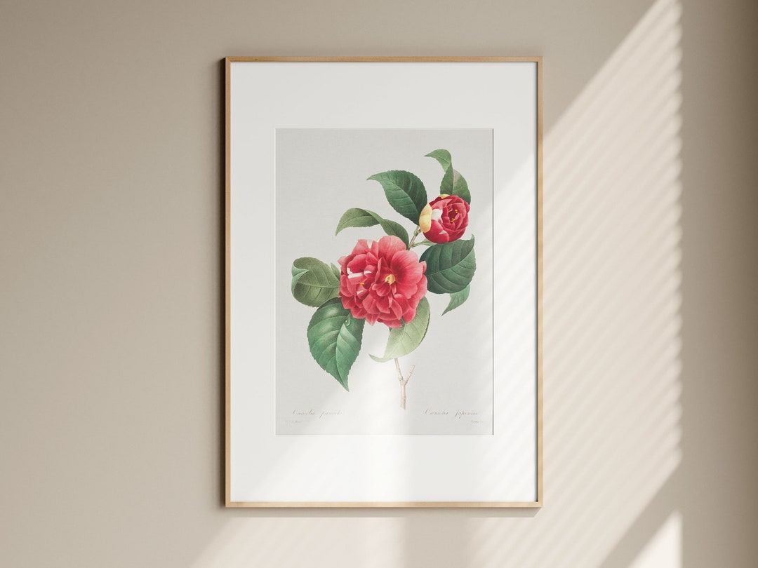 Vintage Red Flower Poster - Floral Wall Decor, Botanical Art Print ...