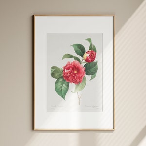 Vintage Red Flower Poster - Floral Wall Decor, Botanical Art Print ...