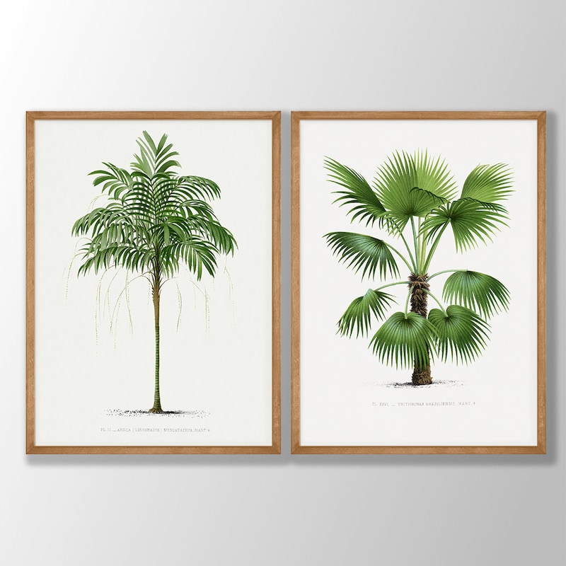 Palm Tree Poster - Etsy