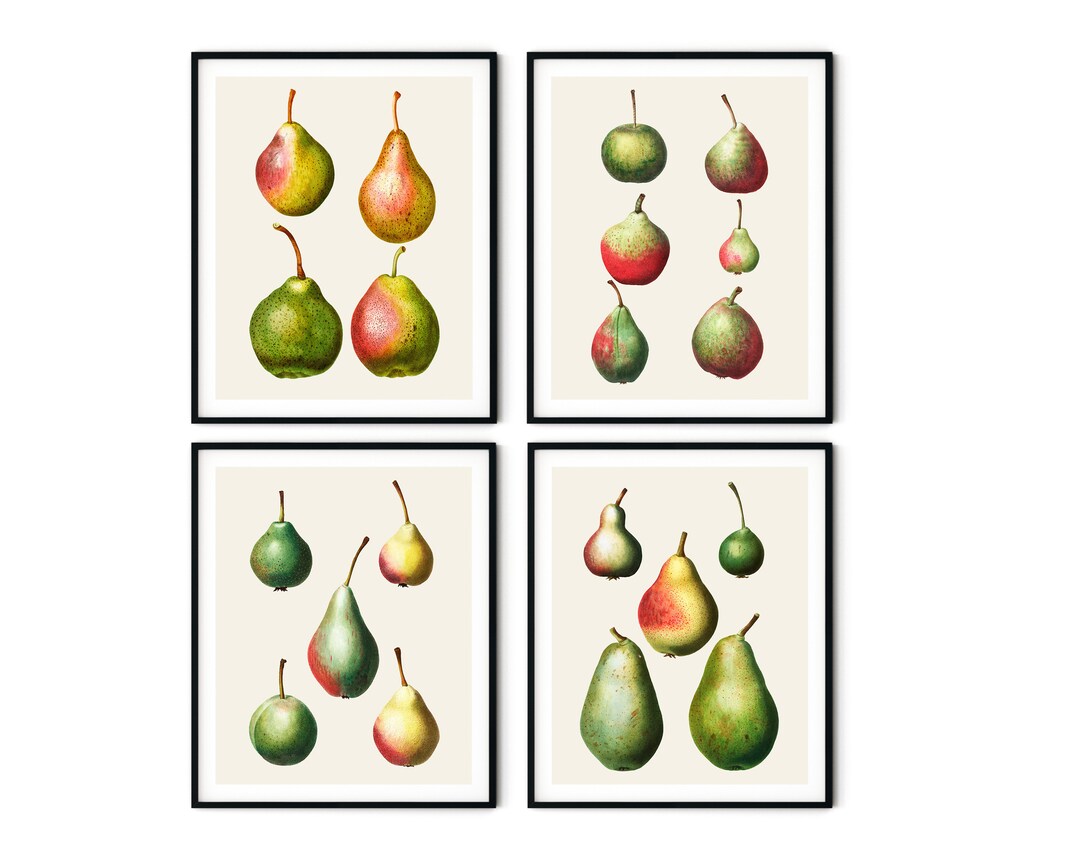 Vintage French Pear Prints Set of 4 - Vintage Fruit Prints, Pear Decor ...