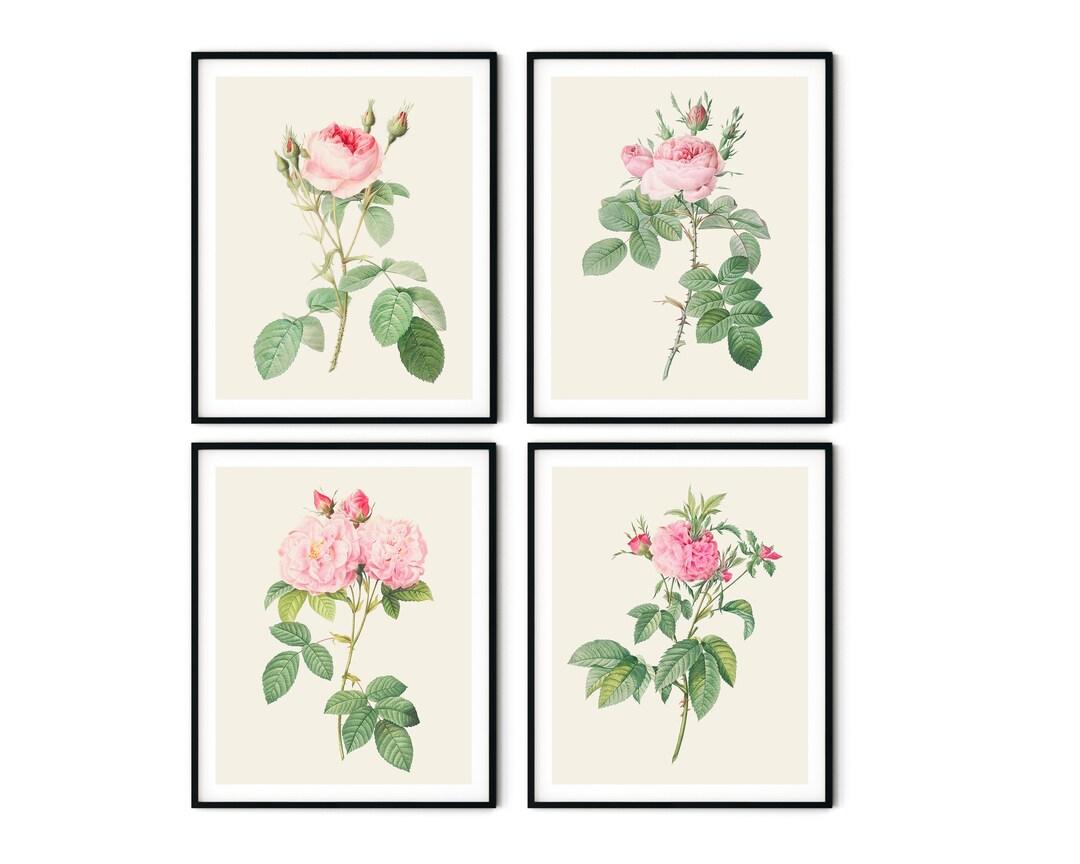 Pink Roses Print Set of 4 - Pink Botanical Art, Pink Flower Print ...