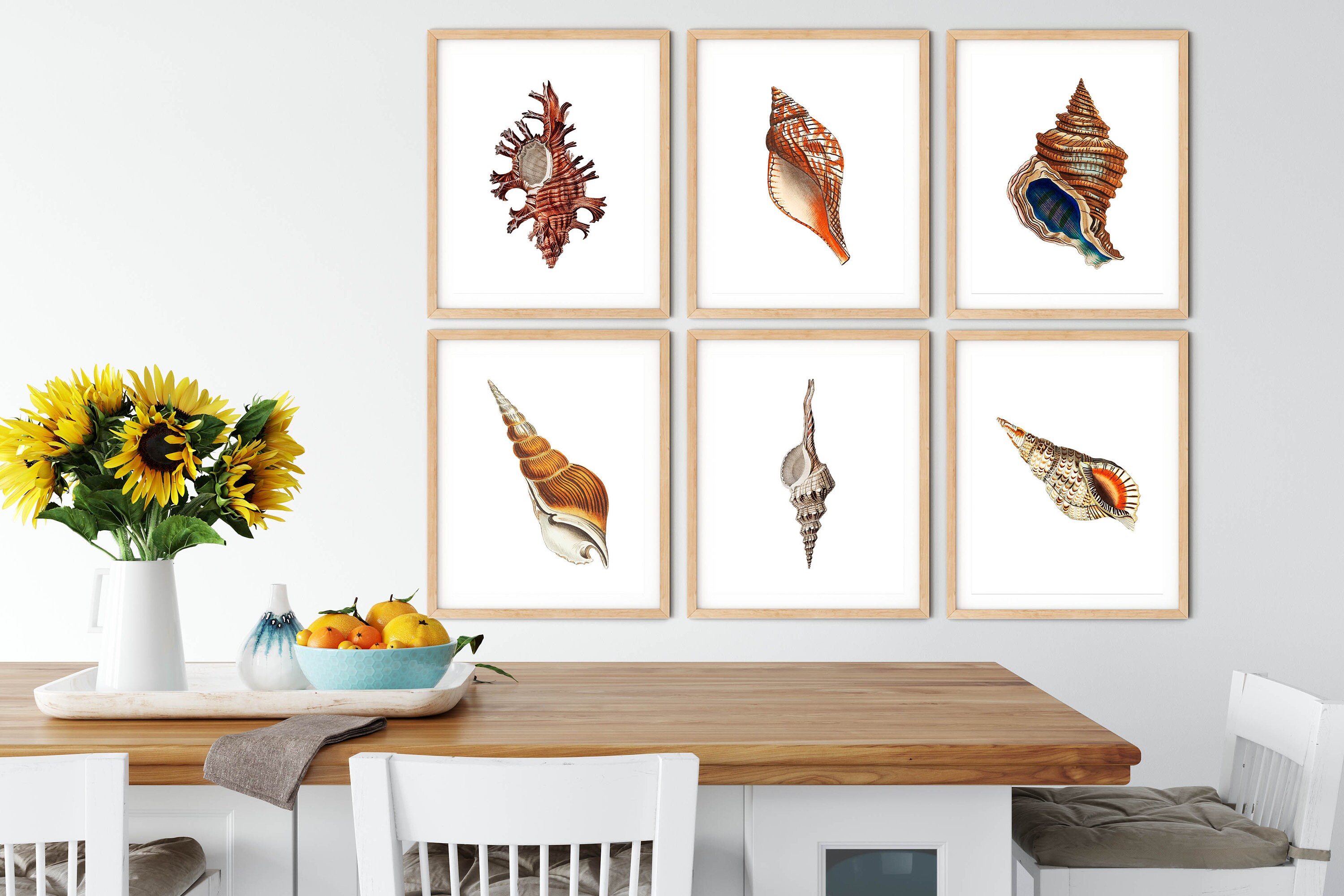 Seashell Prints Set of 6 Seashell Wall Art Nautical Art | Etsy