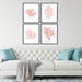 Pink Coral Prints Set of 4 - Pink Sea Coral Prints, Coastal Decor ...