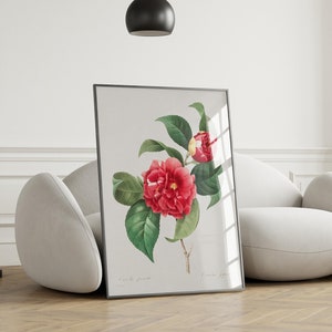 Vintage Red Flower Poster - Floral Wall Decor, Botanical Art Print ...