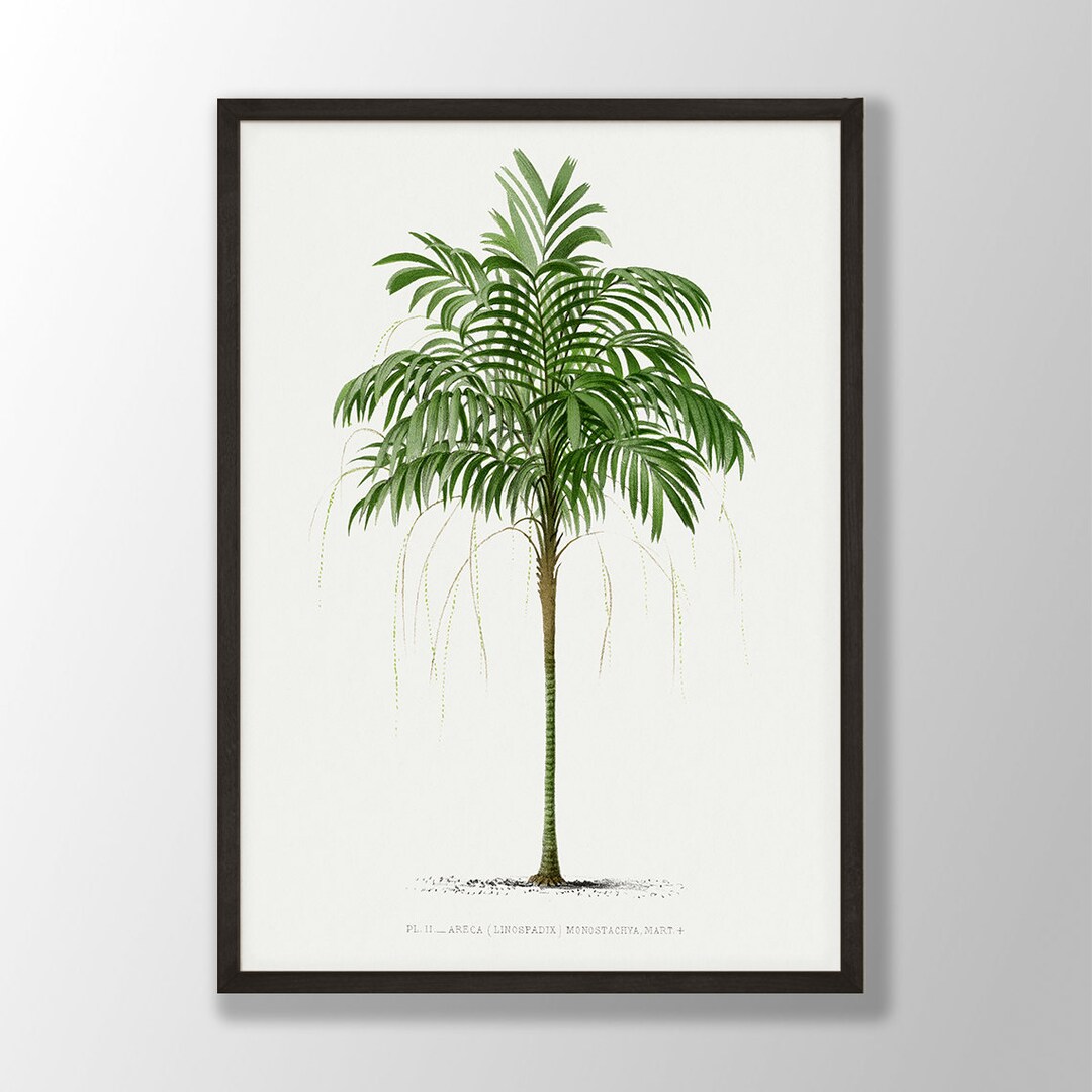 Vintage Palm Tree Poster No2 - Palm Tree Print, Tropical Wall Art ...