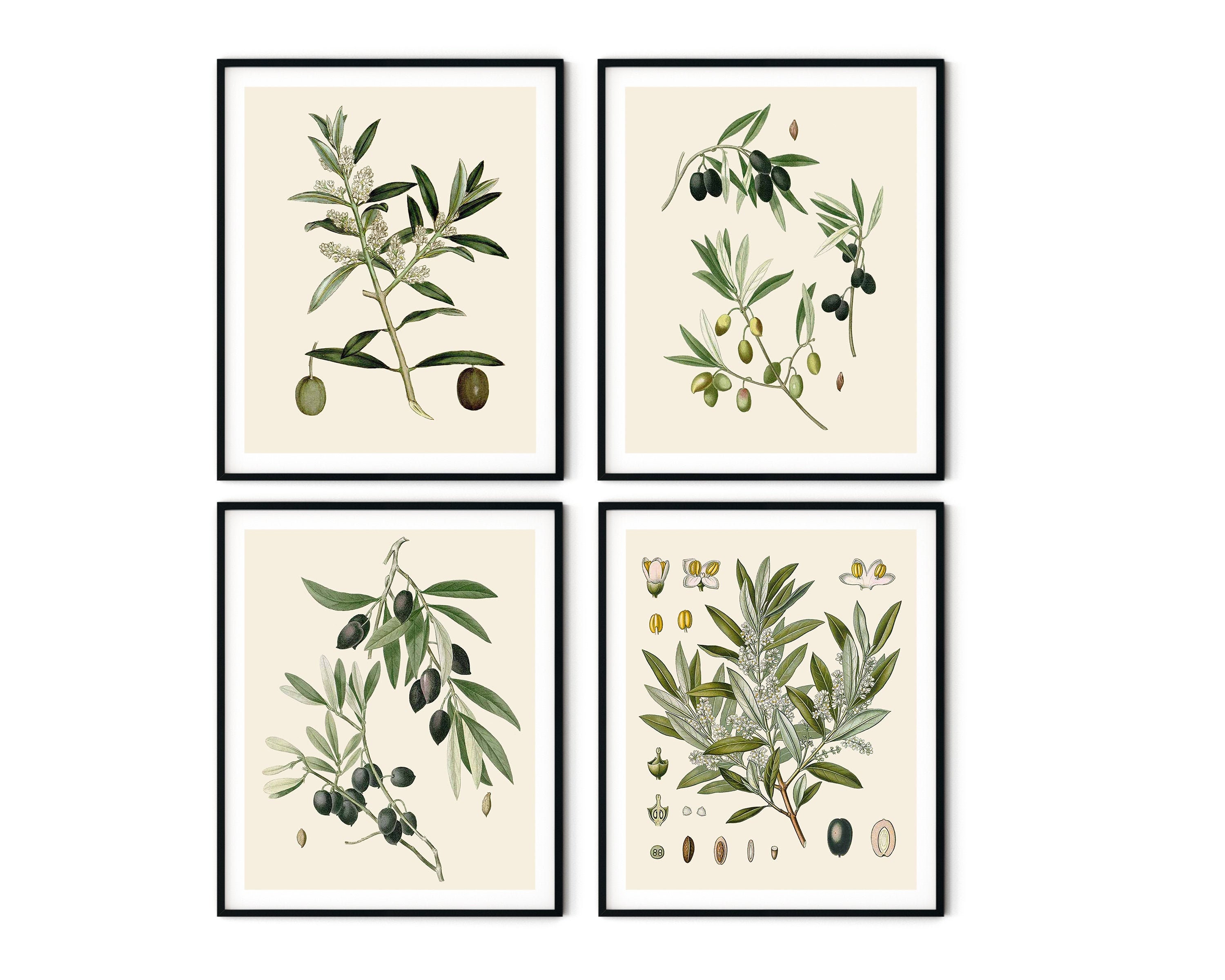 Olive Prints Set of 4 Kitchen Wall Art French Decor - Etsy