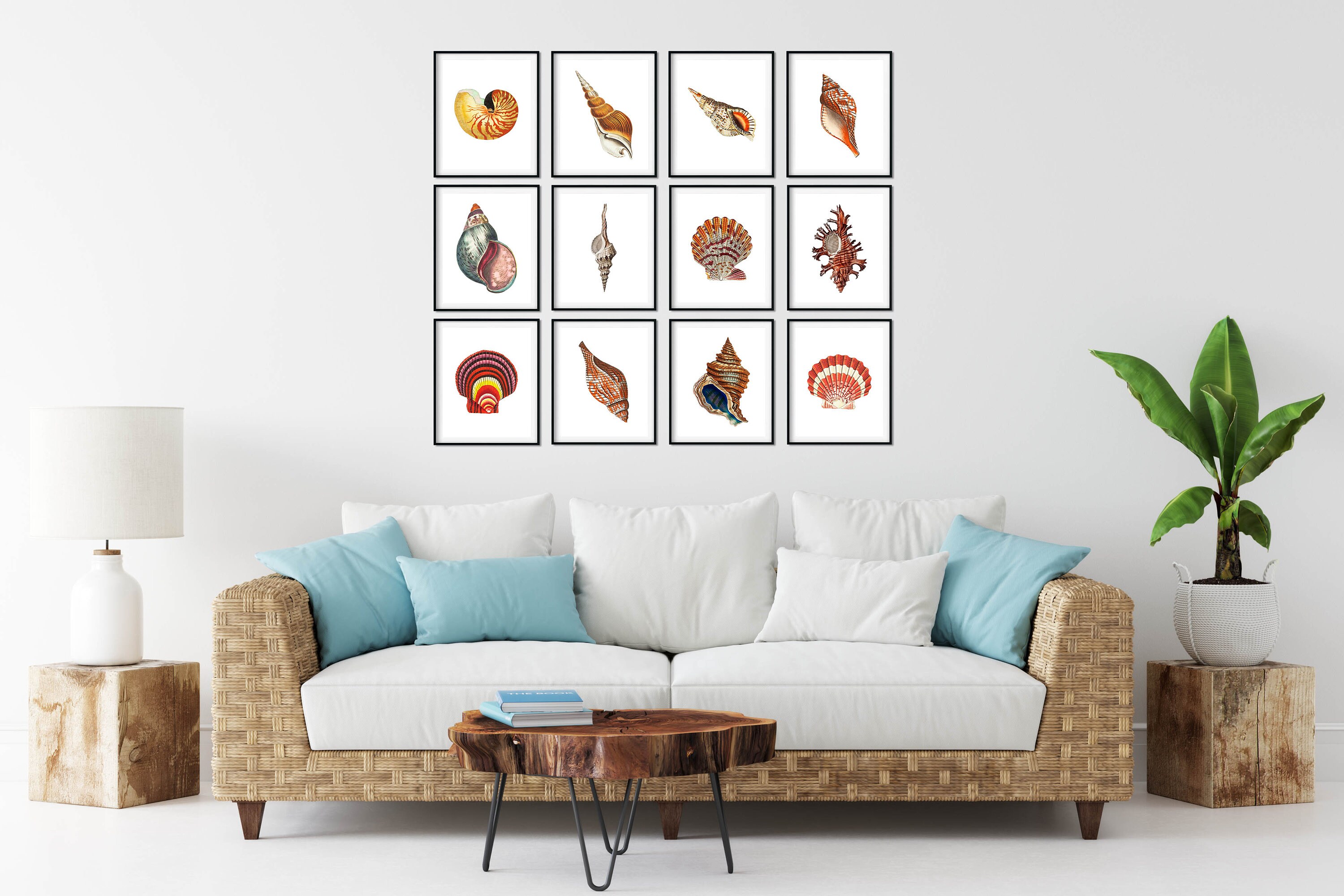 Vintage Seashell Prints Set of 12 Seashell Wall Art | Etsy