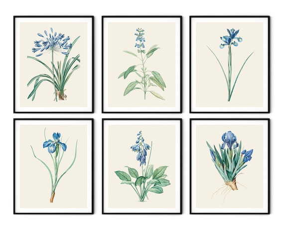 Blue Botanical Print Set of 6 Kitchen Wall Decor Redoute - Etsy
