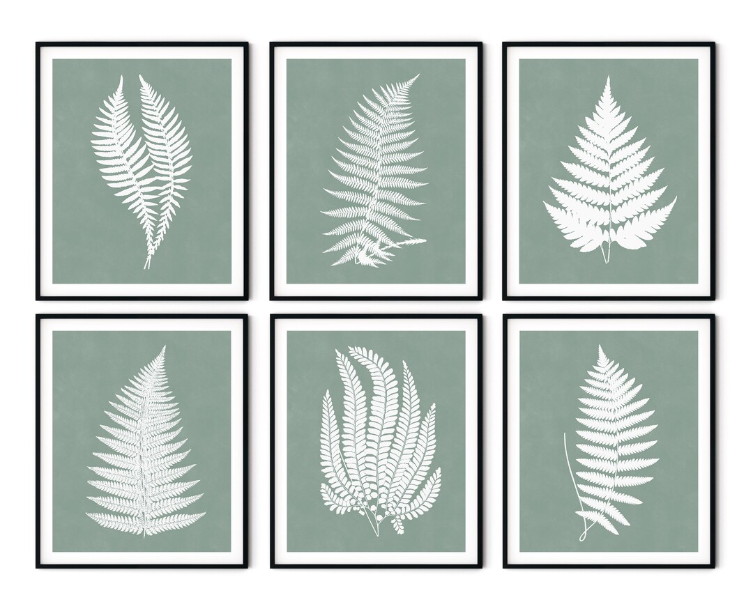 Turquoise Watercolor Fern Prints Set of 6 - Fern Wall Art, Botanical ...