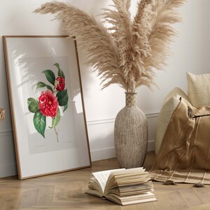 Vintage Red Flower Poster - Floral Wall Decor, Botanical Art Print ...