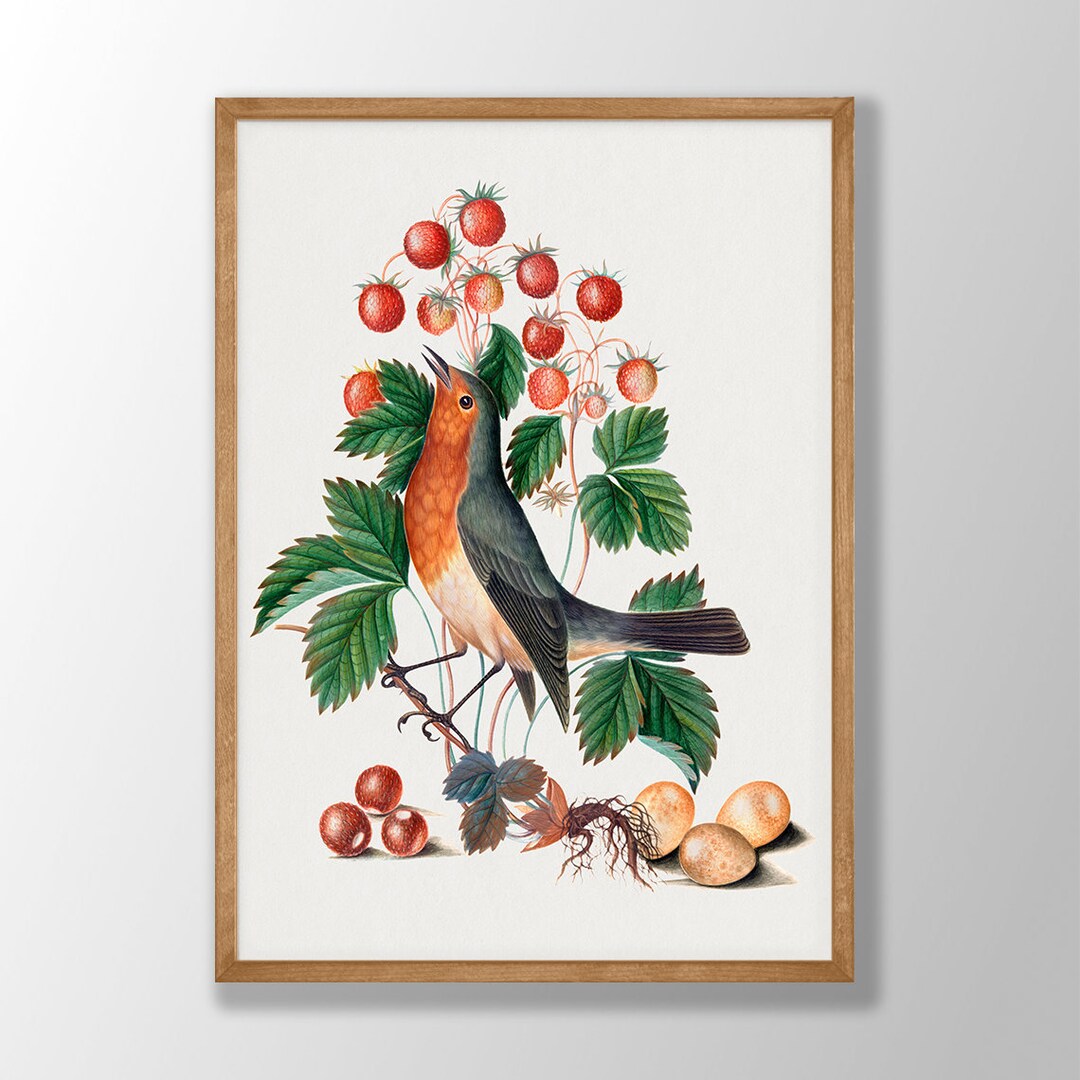 Vintage Bird Print No:2 - Bird Wall Art, Bird Decor, Farmhouse Decor ...