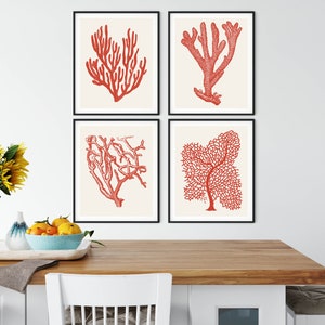 Red Sea Coral Prints Set of 4 - Red Coral Prints, Nautical Art, Beach ...