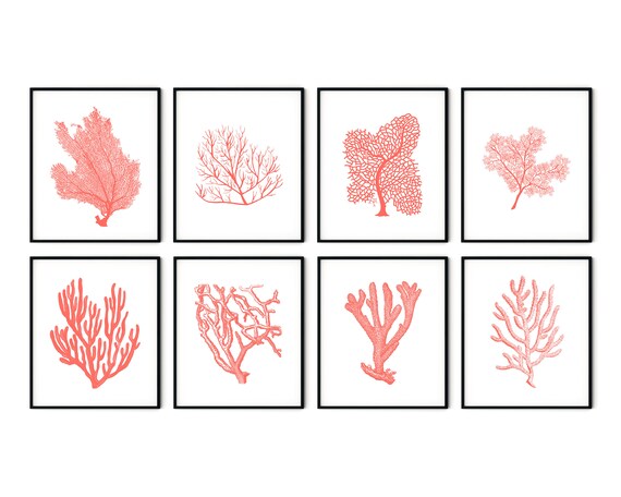 Pink Coral Prints Set of 8 Pink Sea Coral Prints Coastal - Etsy