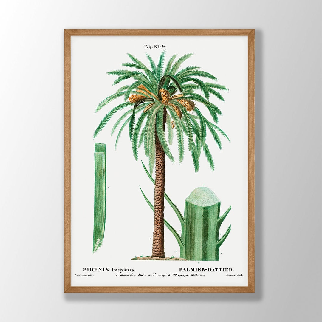 Vintage Palm Tree Poster No1 - Palm Tree Print, Tropical Wall Art ...