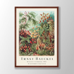 Vintage Ernst Haeckel Poster - Vintage Tree Poster, Botanical Wall Art ...