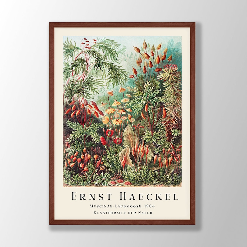 Vintage Ernst Haeckel Poster Vintage Tree Poster Botanical - Etsy