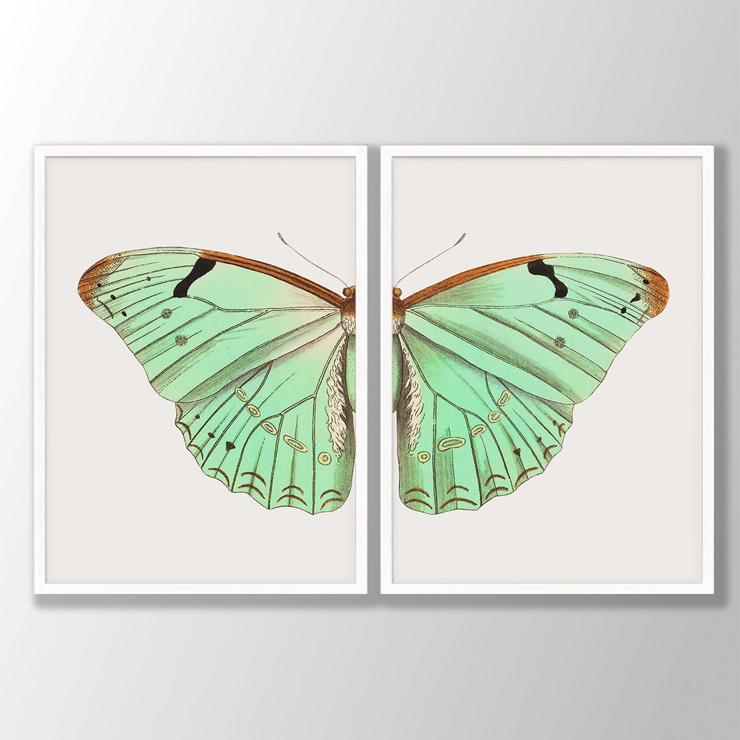 Vintage Green Butterfly Print Set of 2 - Butterfly Wall Art, Butterfly ...