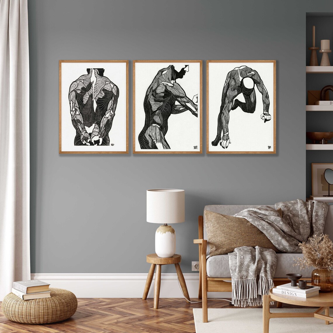 Anatomy Prints Set of 3 Human Anatomy Art Anatomy Poster - Etsy