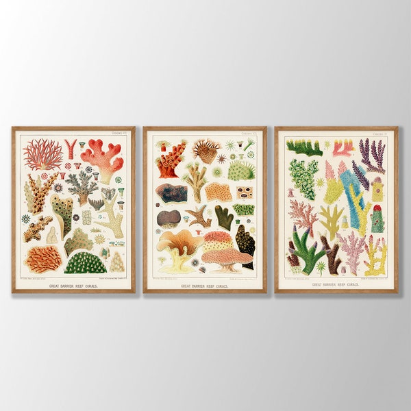 Coral Prints - Etsy