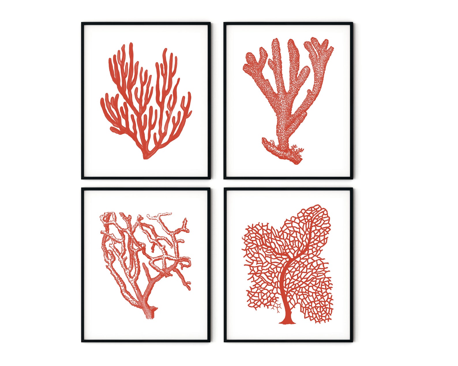 Red Sea Coral Prints Set of 4 Red Coral Prints Nautical | Etsy