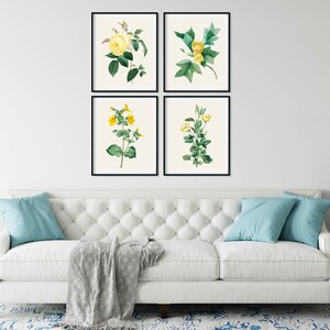 Yellow Botanical Print Set of 4 No.3 - Yellow Flower Prints, Kitchen ...