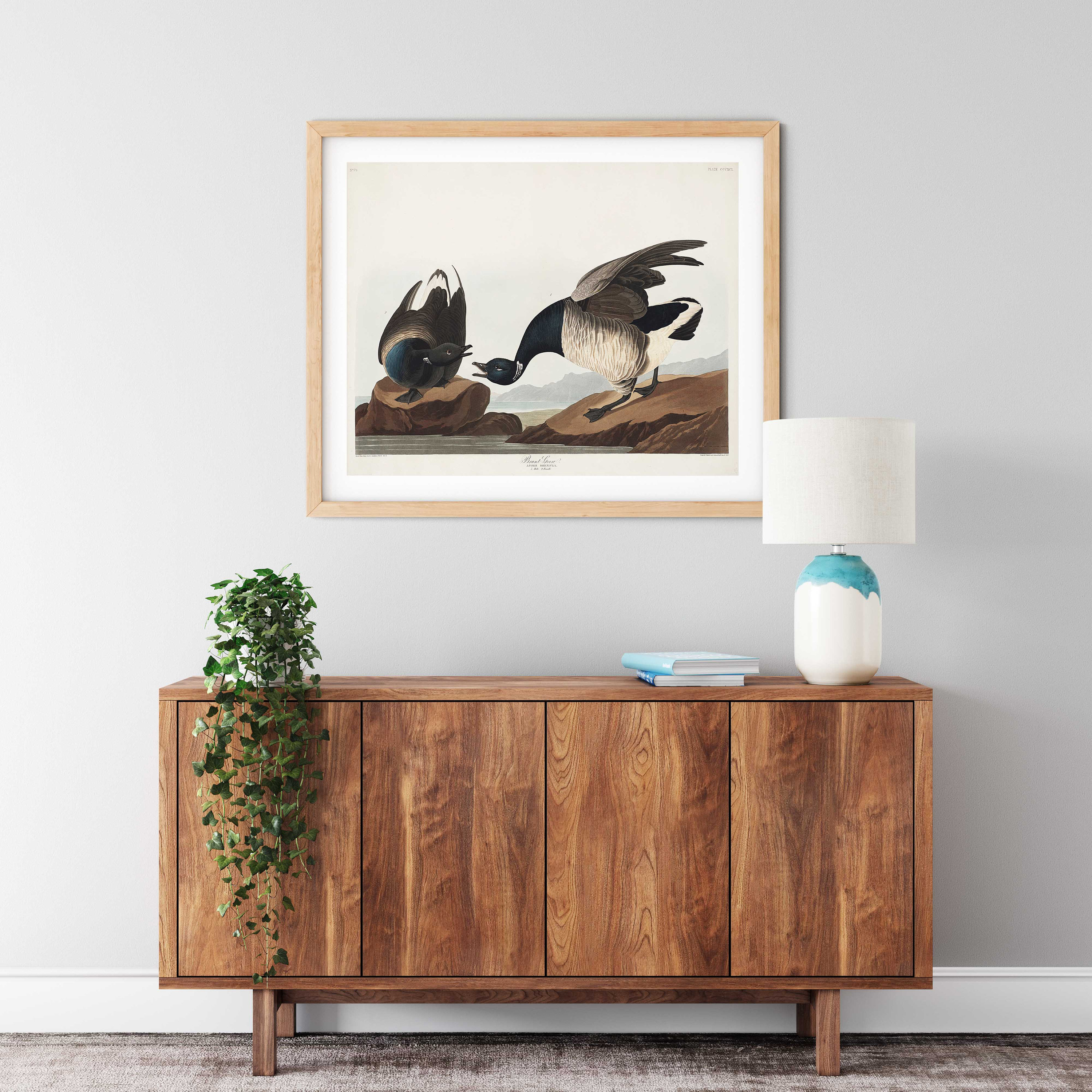 Vintage Brant Goose Print Goose Wall Art Sea Bird Print - Etsy