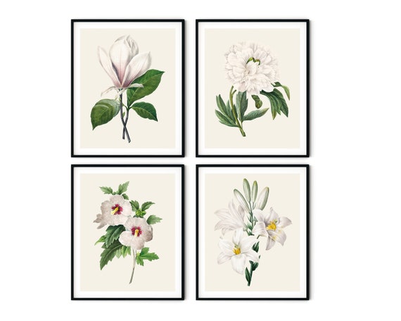 White Botanical Print Set of 4 No.2 White Flower Prints | Etsy