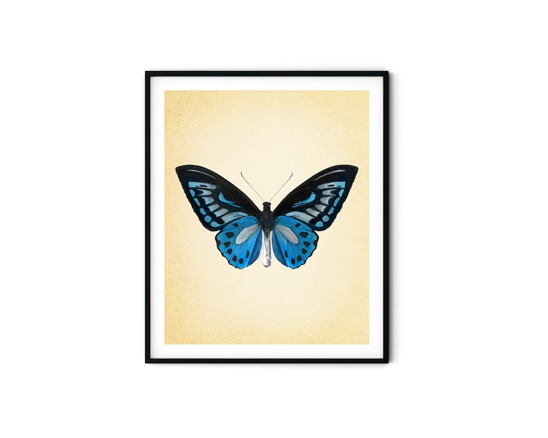 Vintage Blue Butterfly Print Butterfly Wall Art Butterfly - Etsy