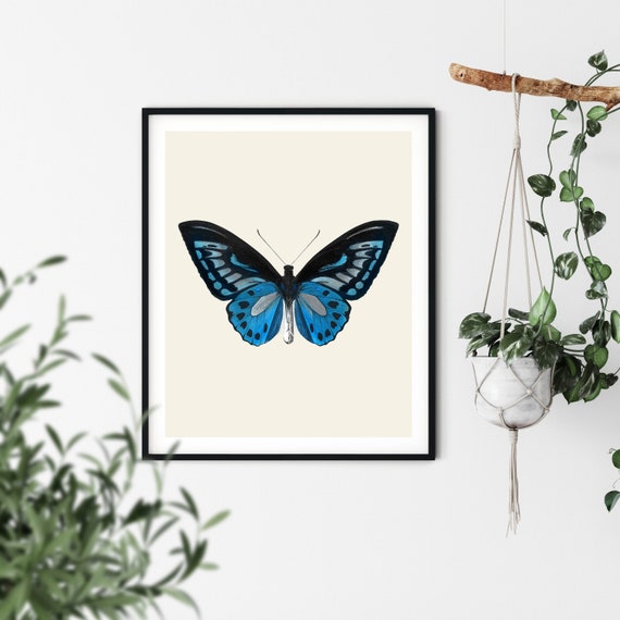 Vintage Blue Butterfly Print Butterfly Wall Art Butterfly - Etsy