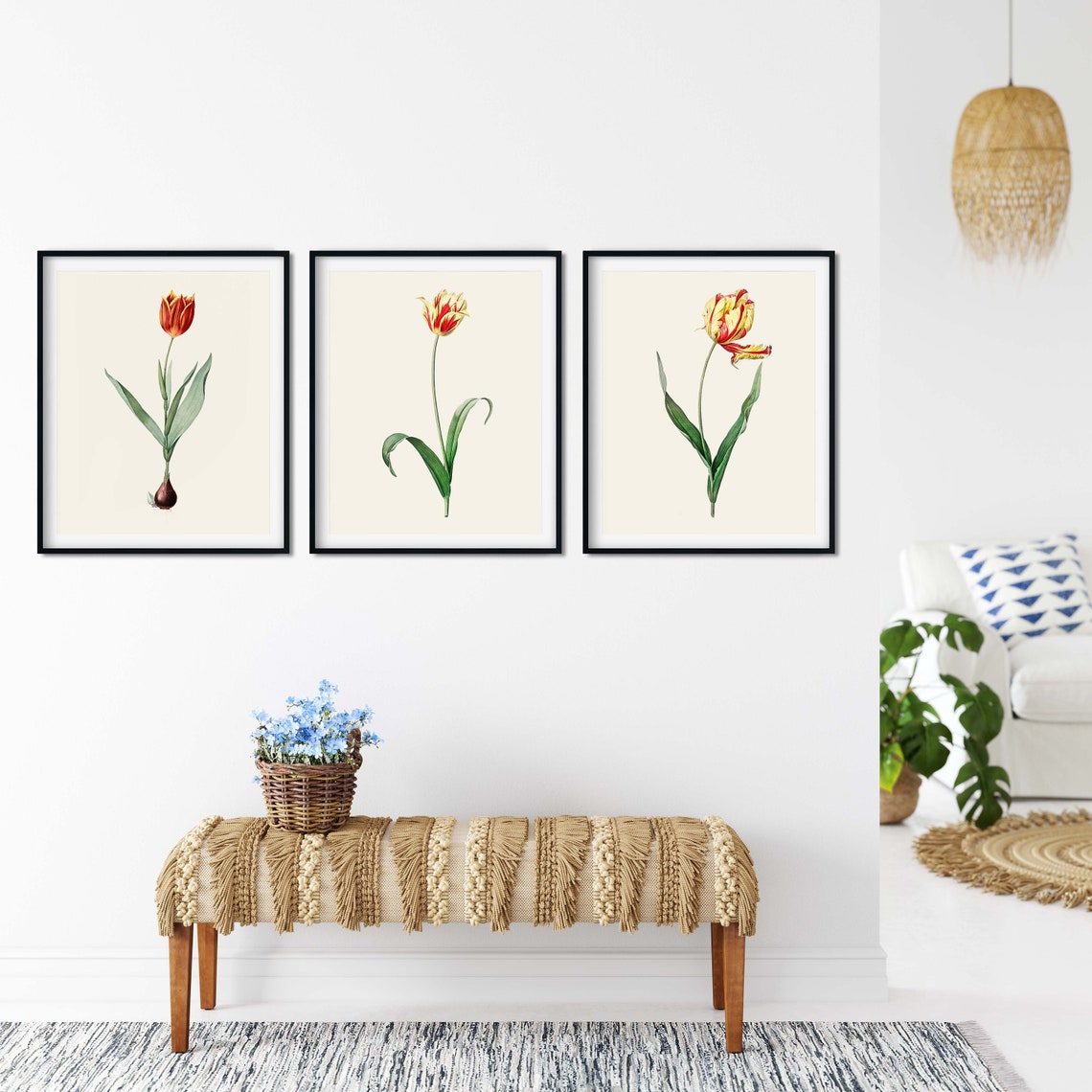 Tulip Prints Set of 3 Tulip Wall Art Farmhouse Wall Art - Etsy UK