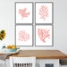 Pink Coral Prints Set of 4 - Pink Sea Coral Prints, Coastal Decor ...