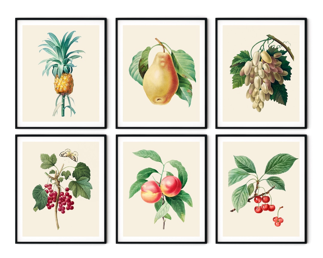 Antique Fruit Prints Set of 6 - Farmhouse Kitchen Art, Kitchen Wall Art ...