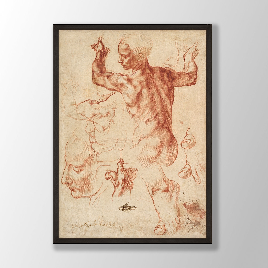 Michelangelo Art Print Studies for the Libyan Sibyl, Human Anatomy ...