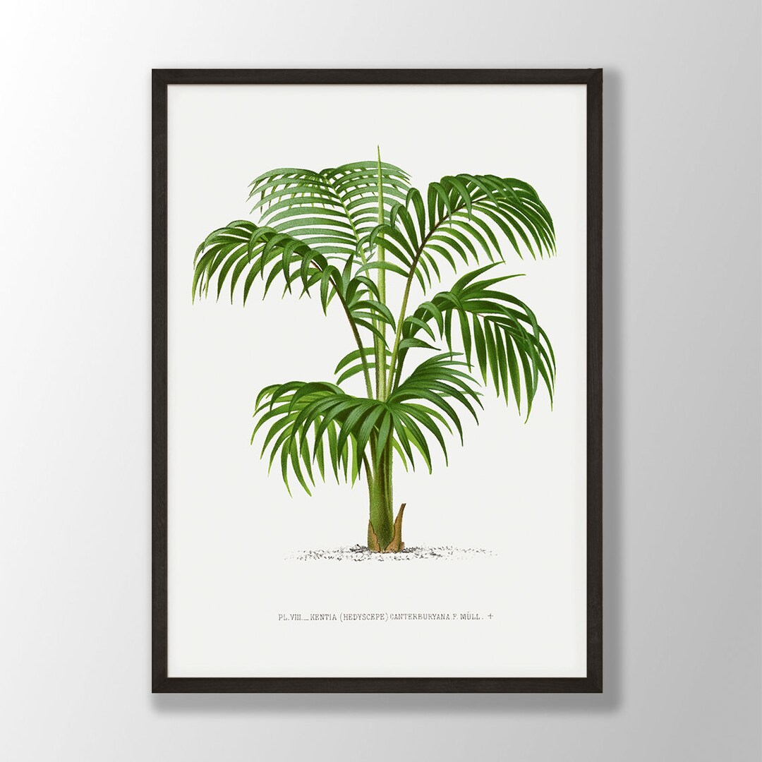 Vintage Palm Tree Poster No4 - Palm Tree Print, Tropical Wall Art ...