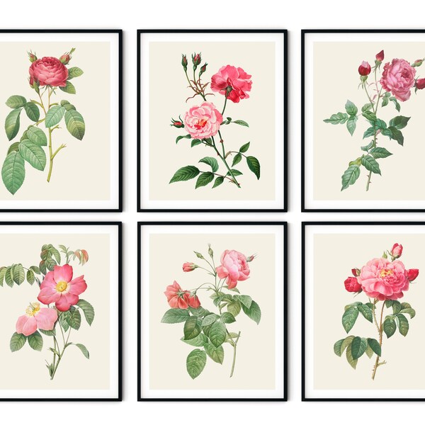 Pink Rose Print - Etsy