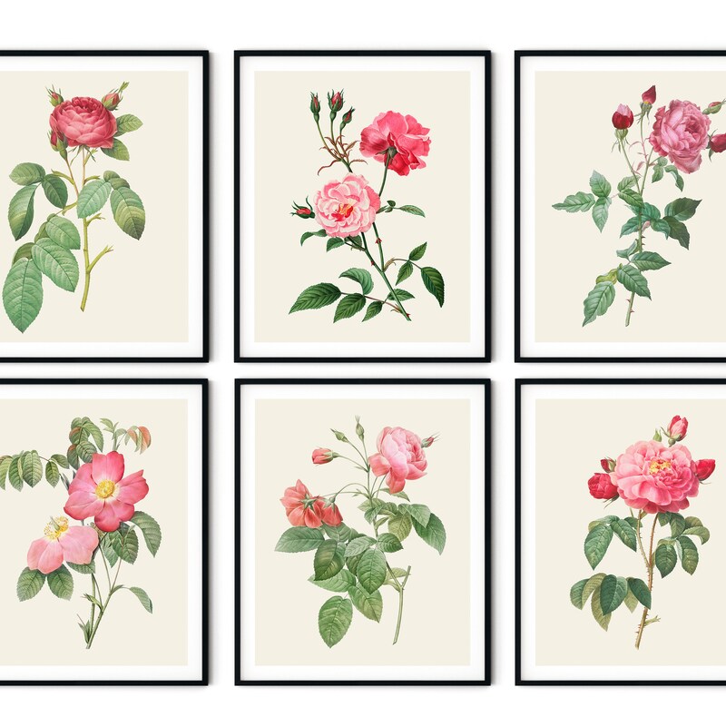 Pink Roses - Etsy