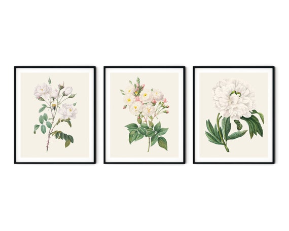 White Botanical Print Set of 3 White Flower Prints Kitchen - Etsy