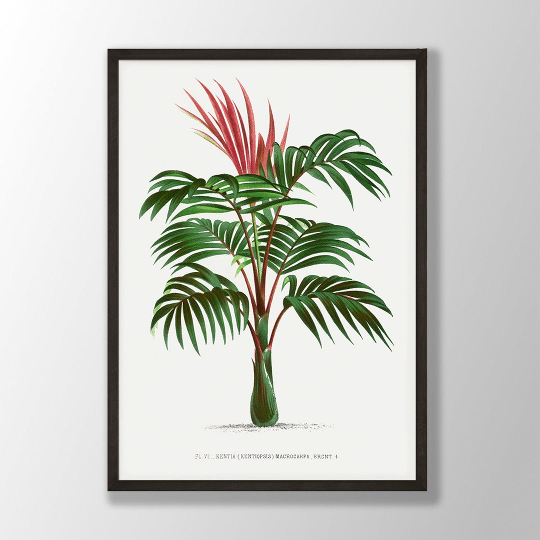 Vintage Palm Tree Poster No5 - Palm Tree Print, Tropical Wall Art ...