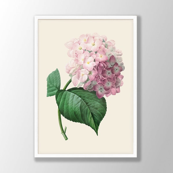 Hydrangea Print - Etsy