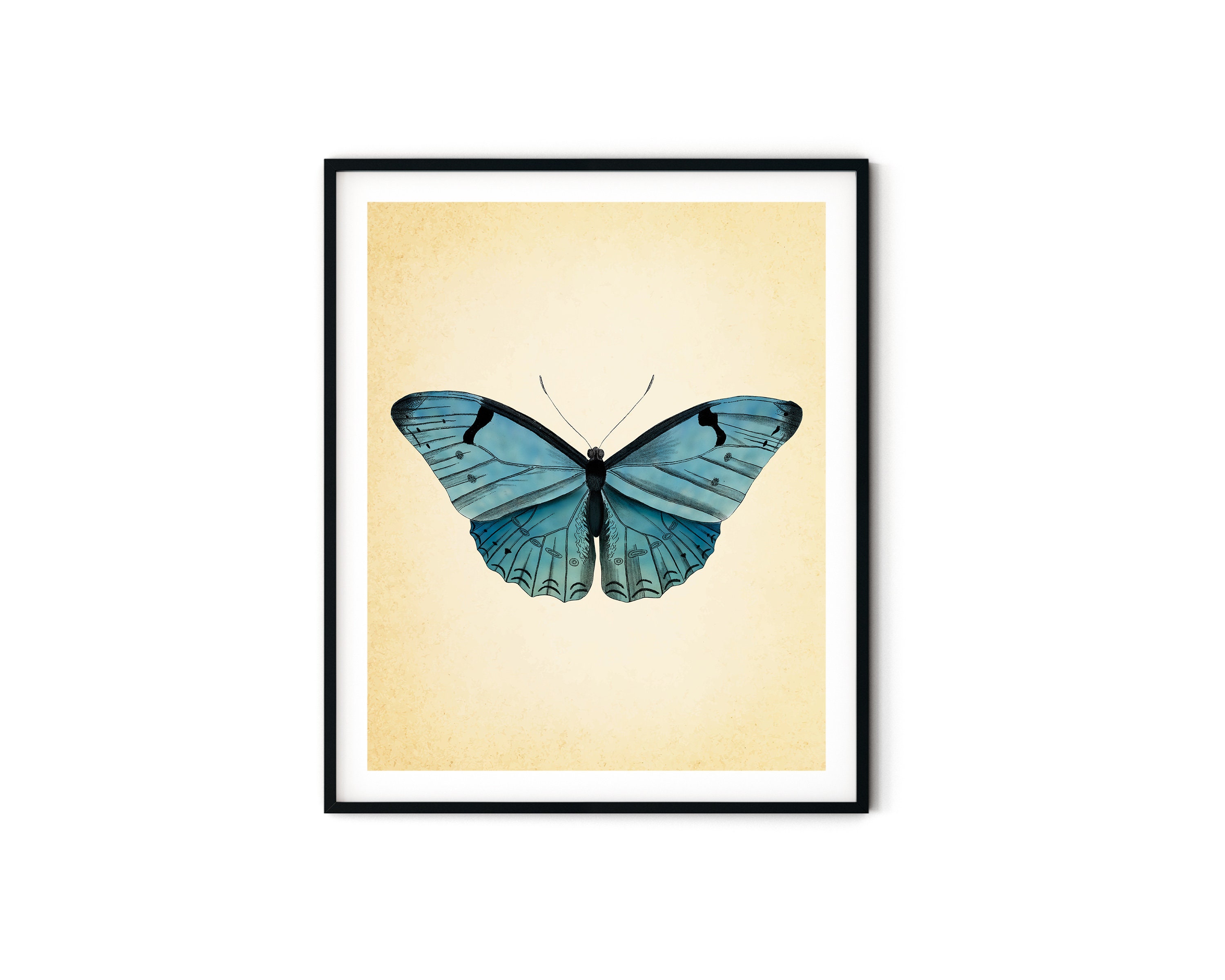 Vintage Blue Butterfly Print Butterfly Wall Art Butterfly | Etsy