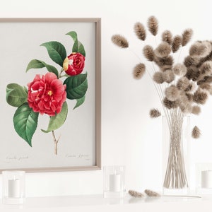 Vintage Red Flower Poster - Floral Wall Decor, Botanical Art Print ...