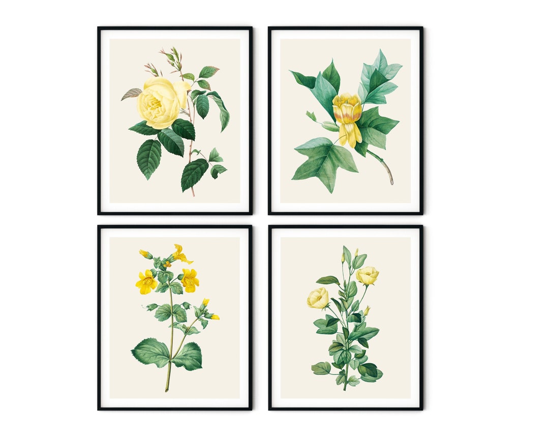 Yellow Botanical Print Set of 4 No.3 - Yellow Flower Prints, Kitchen ...