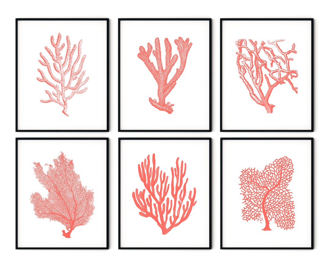 Pink Sea Coral Prints Set: Coastal Cottage Art (set of 6) - Etsy