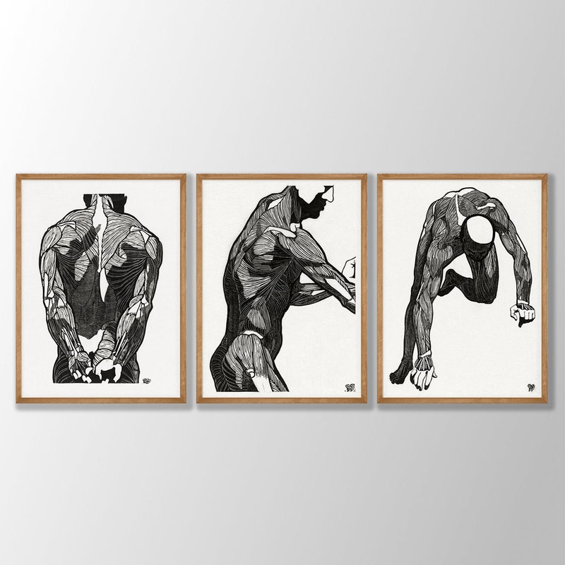 Human Anatomy Print - Etsy