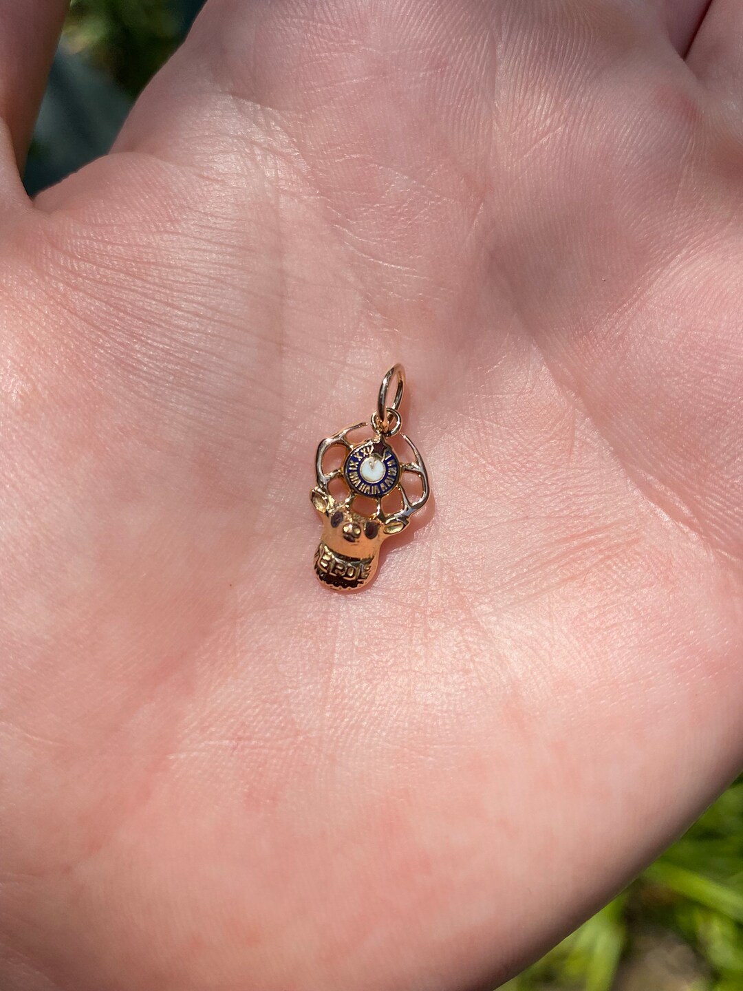 Vintage Solid 10k Yellow Gold Elk Benevolent and Protective Order of ...