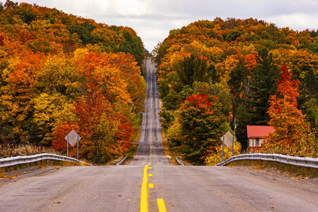 Peak Fall Color in Manistee County Prints / Canvas / Metal Prints - Etsy