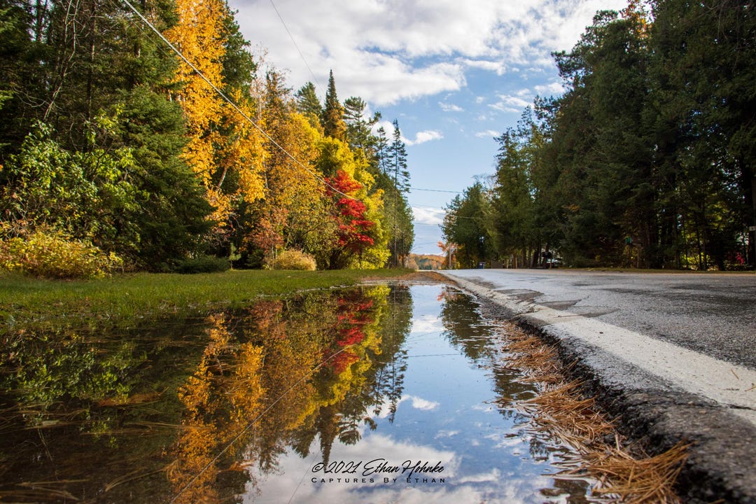 Leelanau Roadside Rain Puddle - Fine Art Prints / Canvas Wrap / Metal ...