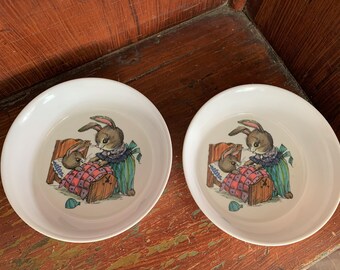 Peter Rabbit Bowls | Etsy